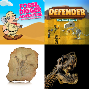 Free Homework Prep: The Fossil Record - Free Games and Assessments ...