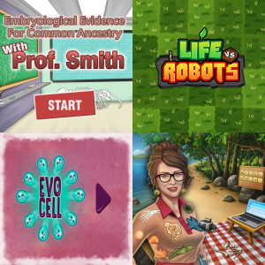 Worksheet: Embryological Evidence for Common Ancestry MS-LS4.A-3 - Free ...