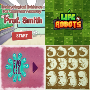 Lesson: Embryological Evidence for Common Ancestry MS-LS4.A-3 - Free ...