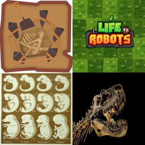 Game Based Learning: The Fossil Record MS-LS4.A-1 - Free Educational ...