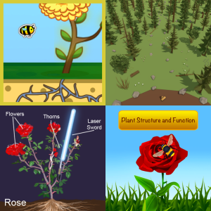 Worksheet: Structures and Functions of Plants and Animals 3.10a - Free ...