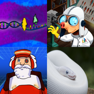 Game Based Learning: Variation Of Traits MS.LS3B.b - Free Educational ...