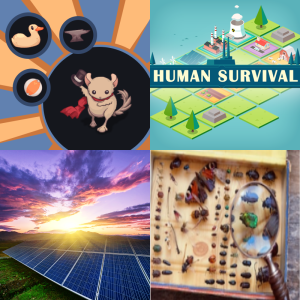 Teaching Plan: Classify Objects by Observable Properties 1.5A - Free ...