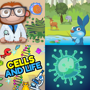 Worksheet: Structure And Function Of Life 7.3.1 Assignment - Free ...