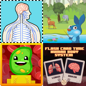 Practice: Human Body Systems 7.12B - Free Games and Assessments ...