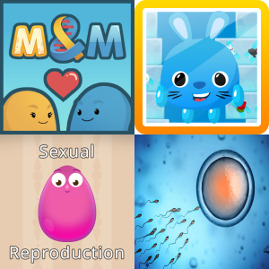 For Class: Sexual Reproduction and Genetic Variation MS-LS3.B-1 - Free ...