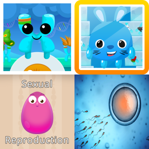 Lesson: Sexual Reproduction and Genetic Variation 7.14B - Free ...