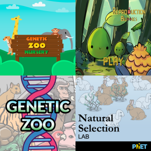 Worksheet: Natural Selection and Selective Breeding 7.11C - Free Games ...