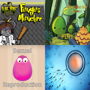 Game Based Learning: Sexual Reproduction and Genetic Variation 7.14B ...