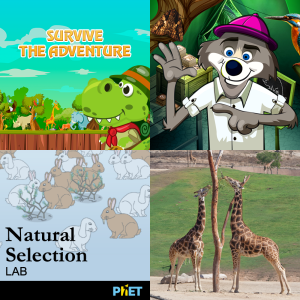 Free Educational Games: Natural Selection MS-LS4.B-1 Assignment - Free ...