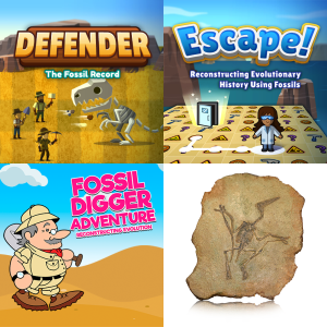 Practice: Fossil Evidence and Evolution SC.7.L.15.1 - Free Games and ...