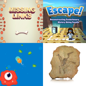 Student Lesson: Reconstructing Evolutionary History Using Fossils MS ...