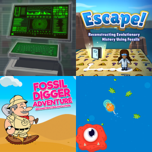 Worksheet: Reconstructing Evolutionary History Using Fossils - Free ...