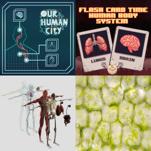 Free Homework Prep: Cell and Organism Functions 7.12E - Free Games and ...