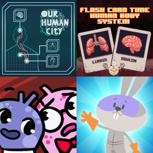 Free Homework Prep: Functions and Interactions of Humans' Body Systems ...