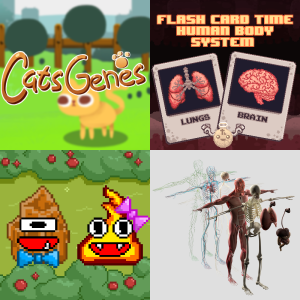 Free Homework Prep: Genes and Traits 7.14C - Free Educational Games ...