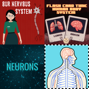 Student Lesson: Nervous System - Free Educational Games - Legends of ...