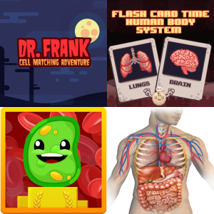Student Lesson: Assignment - Playlist - Multicellular Organisms and ...