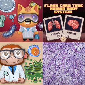 Worksheet: Multicellular Organisms and their Subsystems LS.3a - Free ...