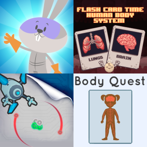 Free Lesson: Classification of Organisms SC.6.L.15.1 - Free Educational ...