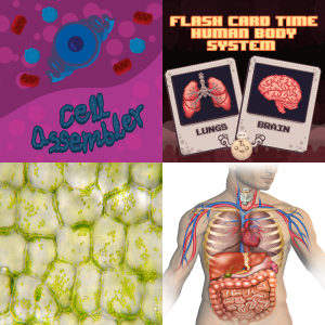 Lesson: HW- Cell and Organ Systems - Free Games and Assessments ...