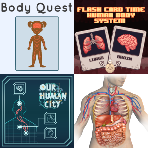 Teaching Plan: Major Systems of the Human Body 7.L.1.4 - Free Games and ...
