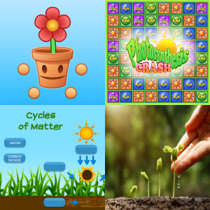 Worksheet: Plant Growth 4.LS2.1 - Free Games and Assessments - Legends ...
