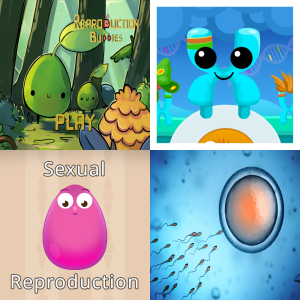 Worksheet: Sexual Reproduction and Genetic Variation 7.14B - Free Games ...