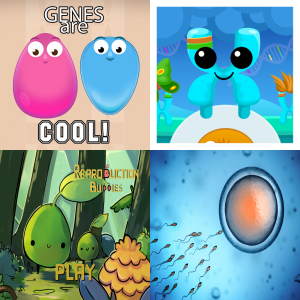 Game Based Learning: Sexual Reproduction and Genetic Variation 7.14B ...