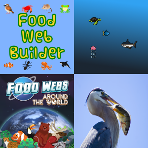 Game Based Learning: Food Webs ES-LS2.A-1a - Free Educational Games ...