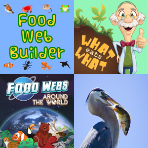 Worksheet: Types of Organisms and How They Obtain Energy 5.L.4B - Free ...