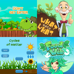 For Class: Assignment - Playlist - Cycles of Matter and Energy Transfer ...