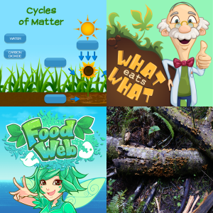 Free Lesson: Grade 5 ONLY Cycles of Matter and Energy Transfer in ...