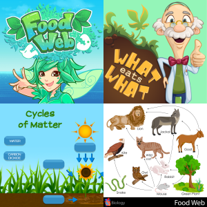 For Class: Cycles of Matter and Energy Transfer in Ecosystems ES-LS2.B ...