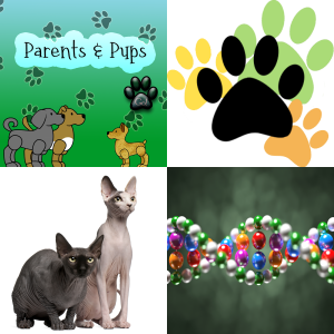 Free Educational Games: Legends of Learning Genetic Review - Free Games ...