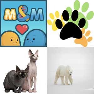 Worksheet: Artificial Selection via Selective Breeding MS-LS4.B-2 ...