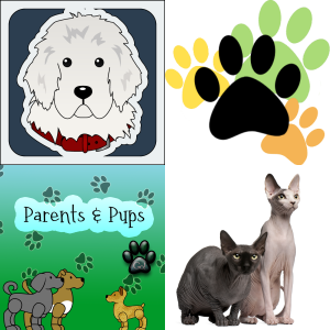 Game Based Learning: Artificial Selection via Selective Breeding MS-LS4 ...