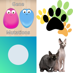 Teaching Plan: Genetic Mutations 7.4.3 - Free Games and Assessments ...