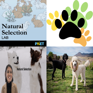 For Class: Natural Selection 8.LS4.4 Assignment - Free Games ...