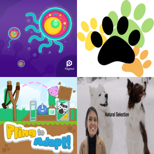 Student Lesson: Gregor Mendel and Heredity L.8.2B.2 - Free Games ...