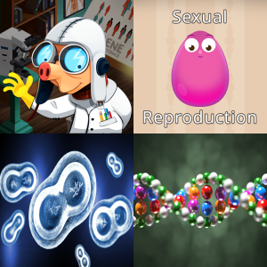 Game Based Learning: DNA, Proteins, and Traits LS.10a - Free Games and ...