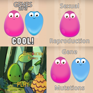 Free Educational Games: Baumann: Reproduction and Genetic Variation 7 ...