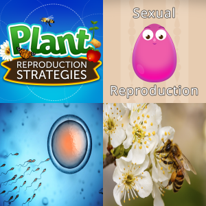 Teaching Plan: Plant Reproduction Strategies MS-LS1.B-2 - Free Games ...