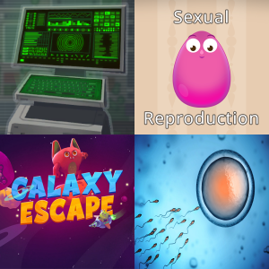 Game Based Learning: Sexual Reproduction and Genetic Variation MS-LS3.B ...