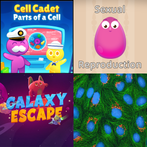Free Educational Games: Cells and Cell Division - Free Games and ...