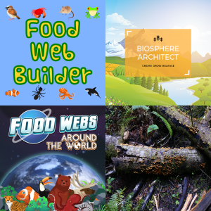 Lesson: Cycles of Matter and Energy Transfer in Ecosystems 4.LS2.2 ...