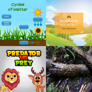 Free Lesson: Cycles of Matter and Energy Transfer in Ecosystems ES-LS2 ...