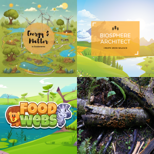 Teaching Plan: Cycles of Matter and Energy Transfer in Ecosystems LS2.B ...