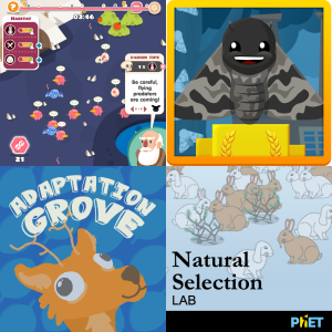 For Class: 7.11BC/7.12A Adaptations, Natural Selection & Selective ...