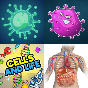 Free Lesson: Hierarchical Organization of Multicellular Organisms 7.LS1 ...